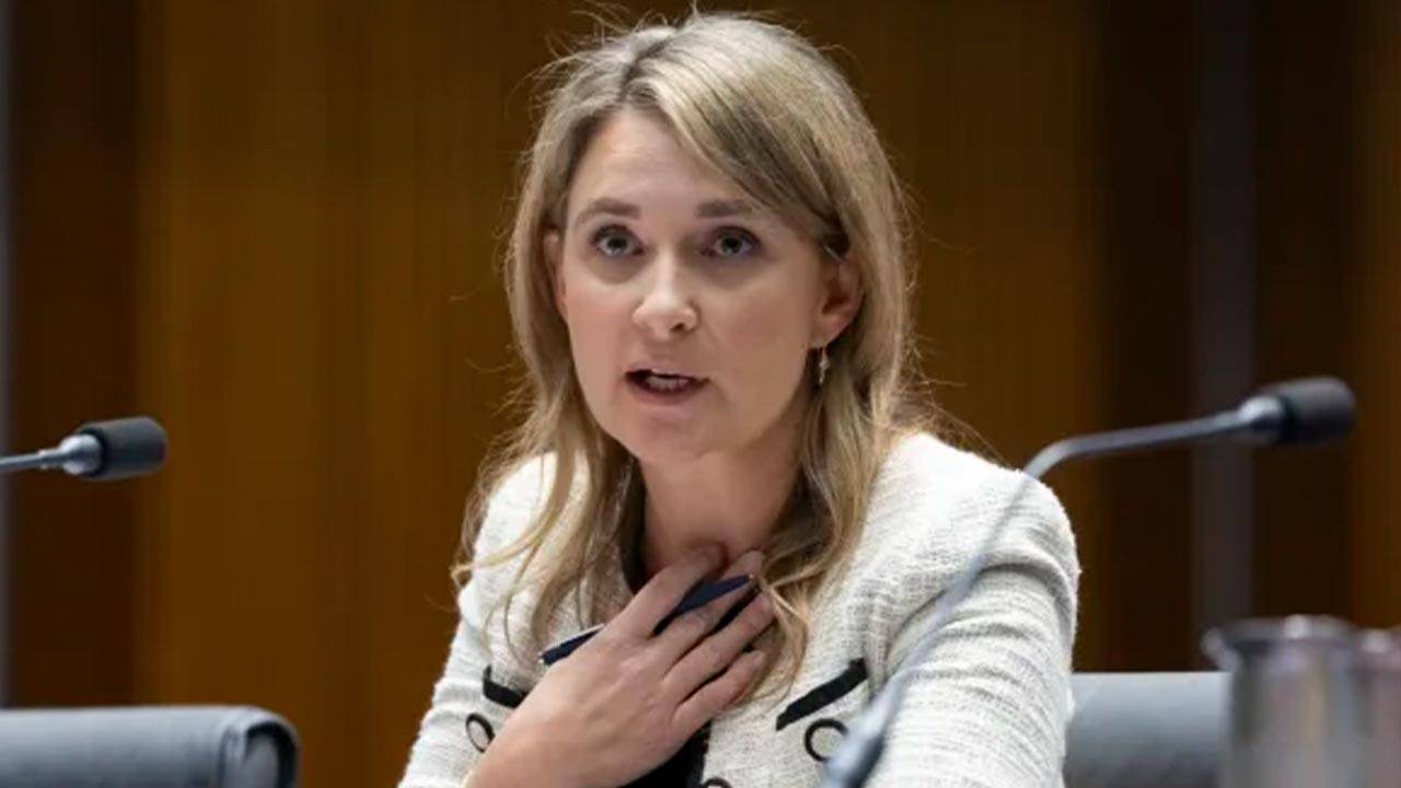 Kelly Bayer Rosmarin Optus Age, Wikipedia, Linkedln, Salary, Net Worth ...