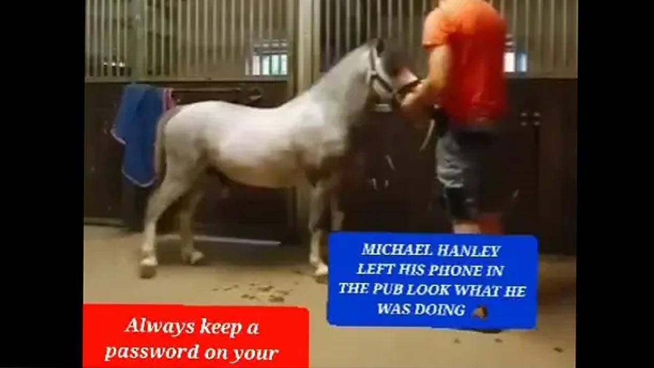 Michael Hanley Comfort Carriages Dublin, Mr Hands Video, Michael Hanley ...