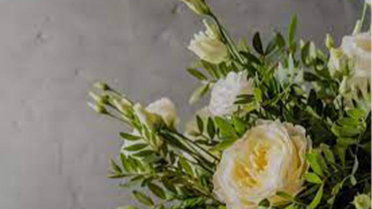 Chris Horning Jr Death Obituary, Who Was Chris Harning? What Happened ...