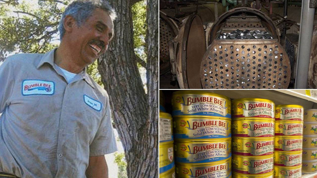 Tuna Canning Incident: Worker Fatally Cooked in Oven Mishap - NAYAG Scoop