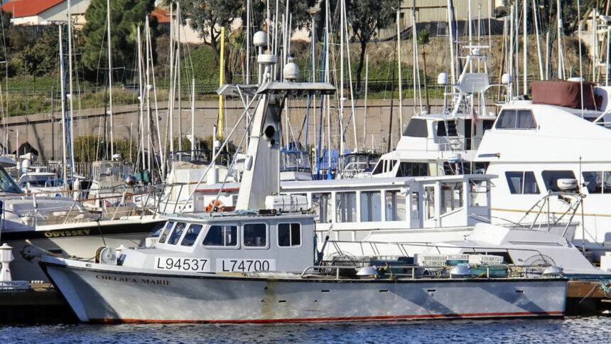 Chelsea Marie Boat Death News: Chelsea Marie Boat Accident - NAYAG Scoop