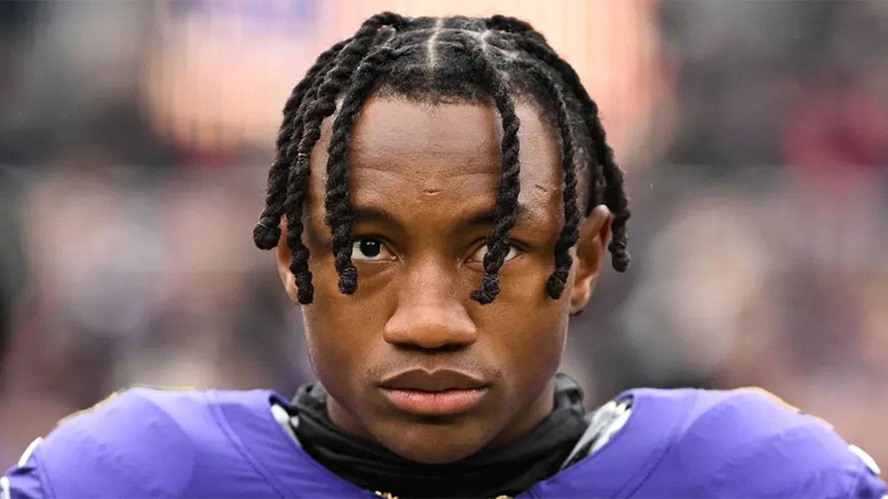 Who is Zay Flowers? What Happened to Zay Flowers? Zay Flowers Domestic ...